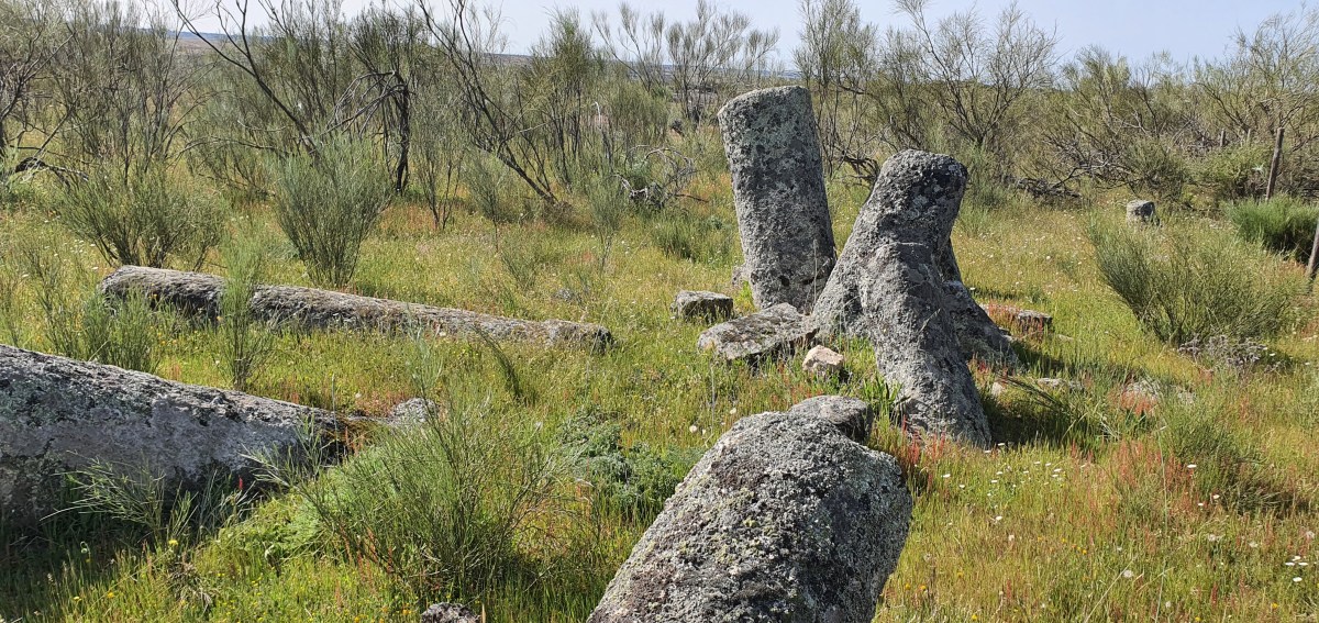 Un breve acercamiento arqueológico a la Vía de la Plata a través de sus ...